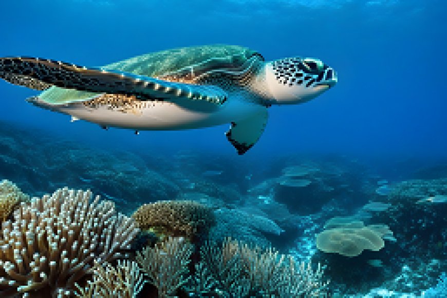 Study on the Adaptation of Marine Organisms to Life in Oceans and Seas ...