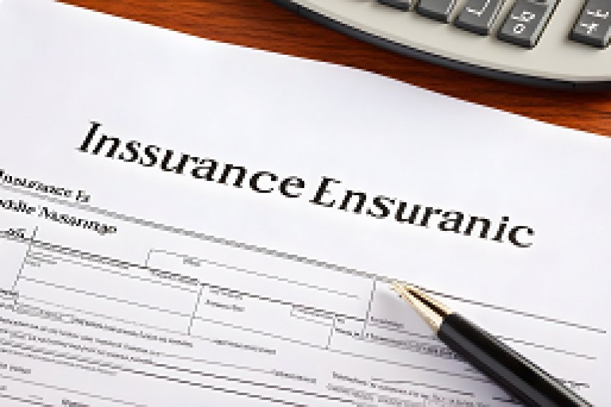 The importance of insurance and its types - إقرأ مقال
